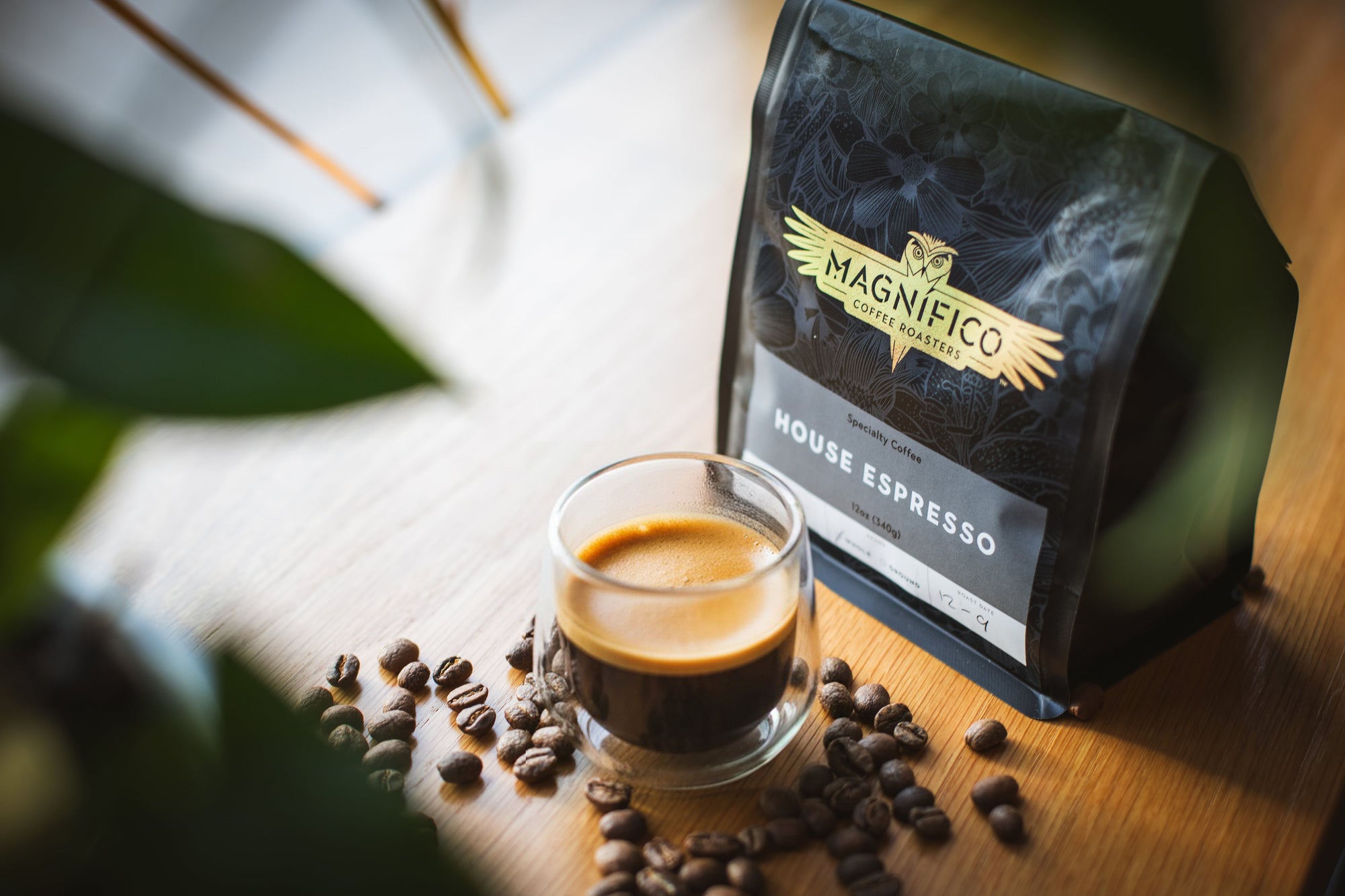 Magnifico Coffee Roaster & Coffee Shop – Magnifico Coffee Roaster ...